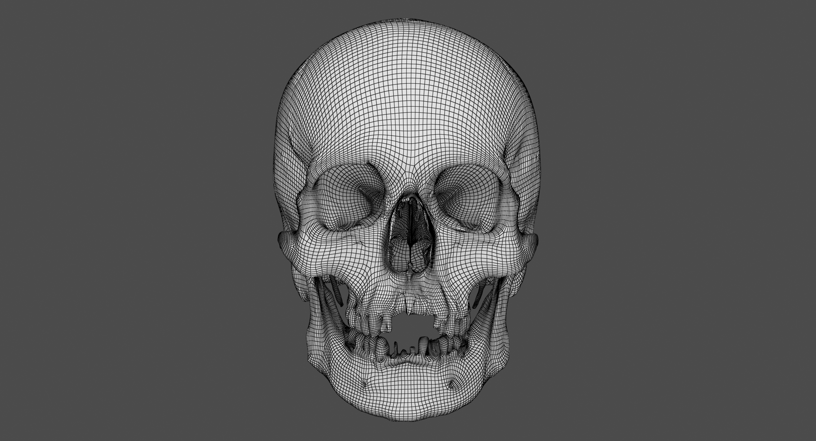real human skull scan 3d model