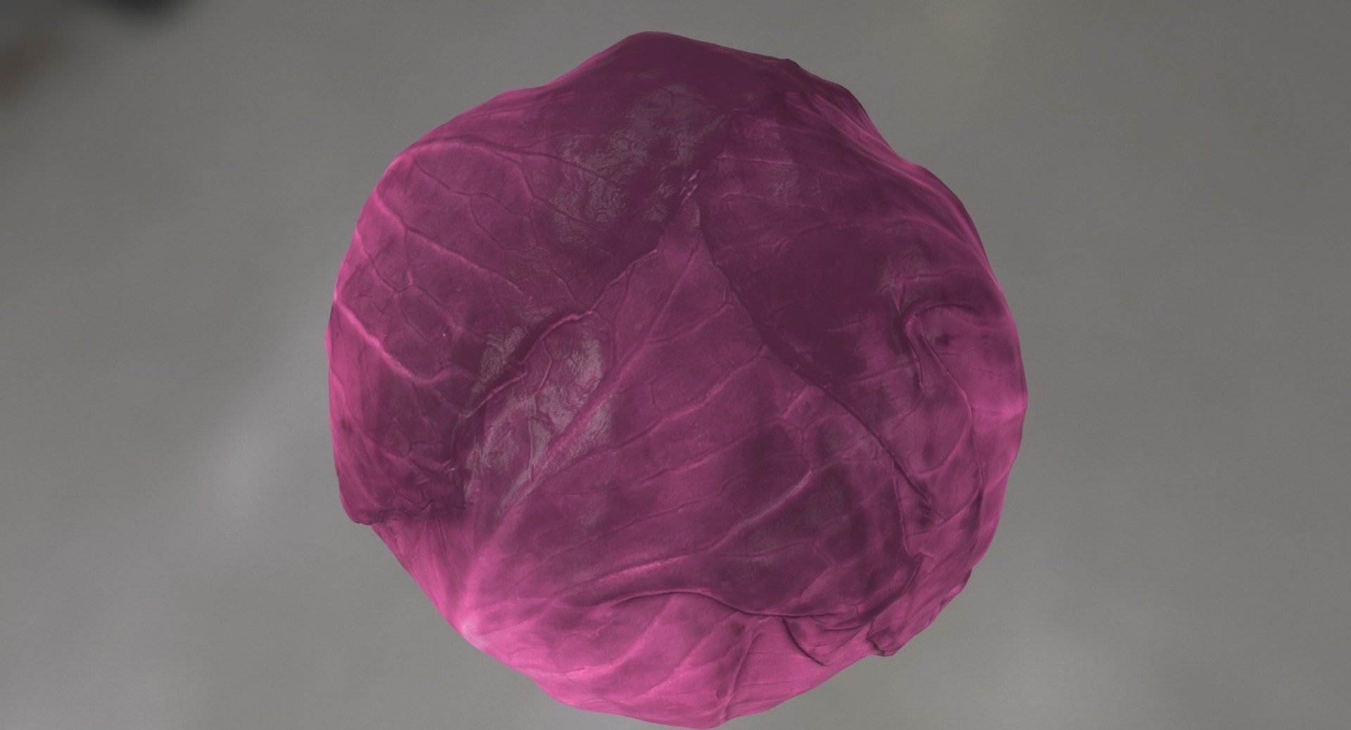 3d Red Cabbage Model