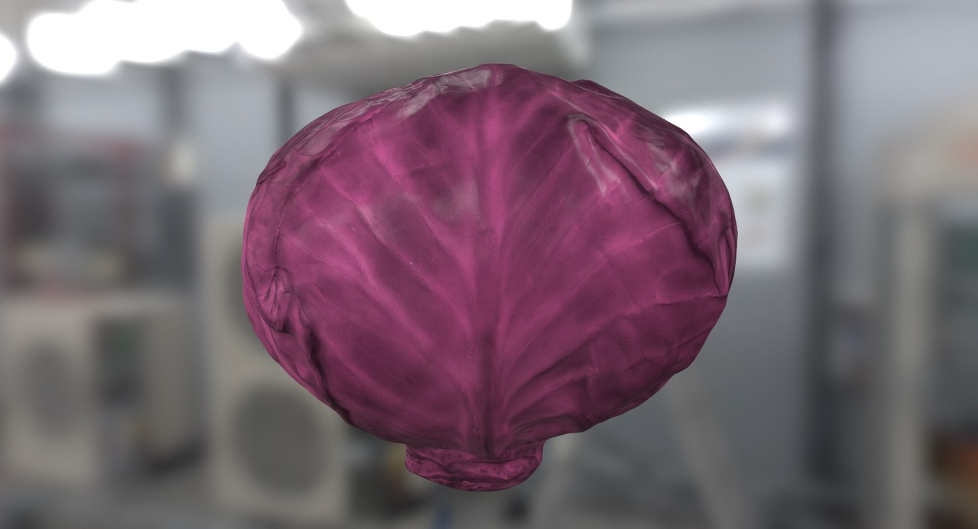 3d Red Cabbage Model