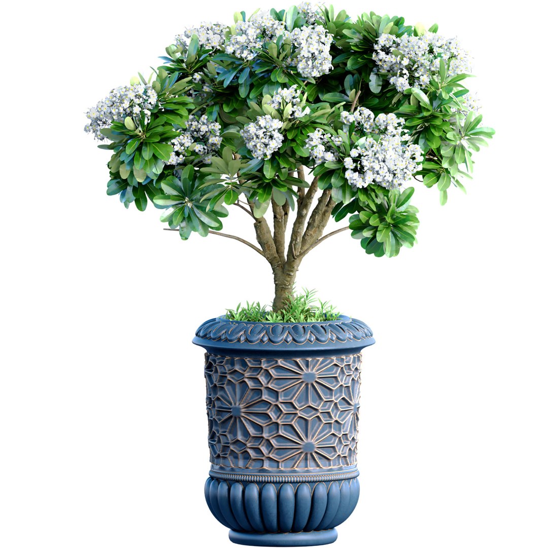 3D Decorative Tree In A Luxury Oriental Arabic Vase Pot - TurboSquid ...