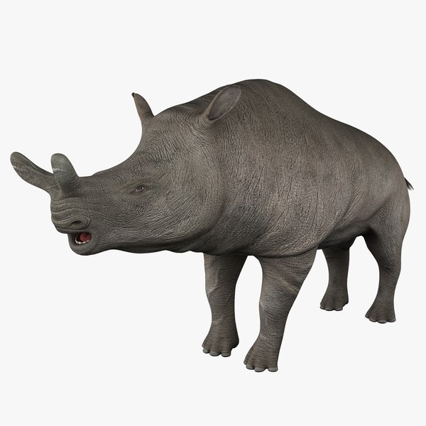 Brontotherium 3D Models for Download | TurboSquid