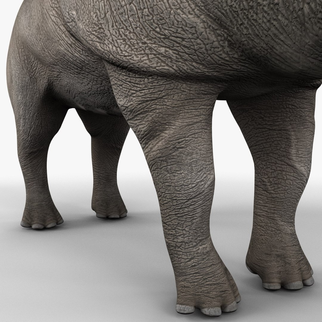 Brontotherium 3ds