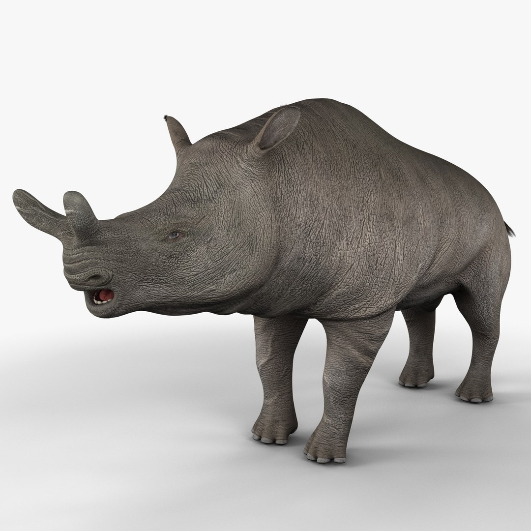 Brontotherium 3ds