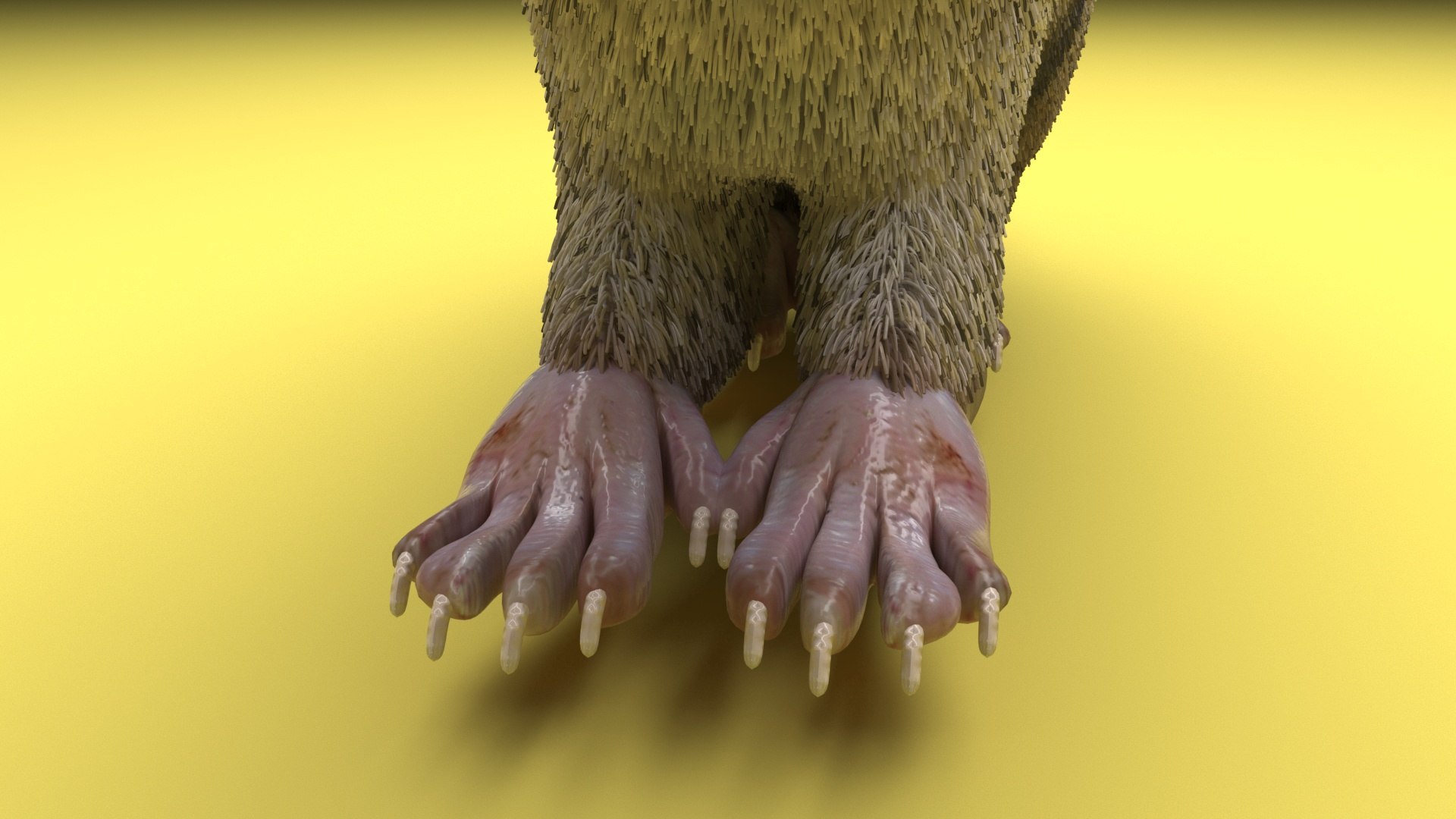 Mouse Model - TurboSquid 1923676
