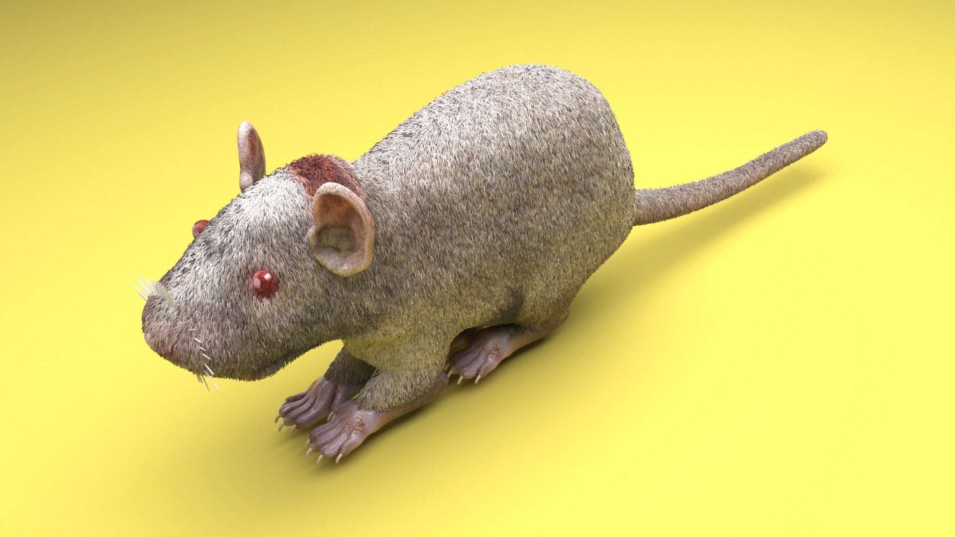 Mouse Model - TurboSquid 1923676