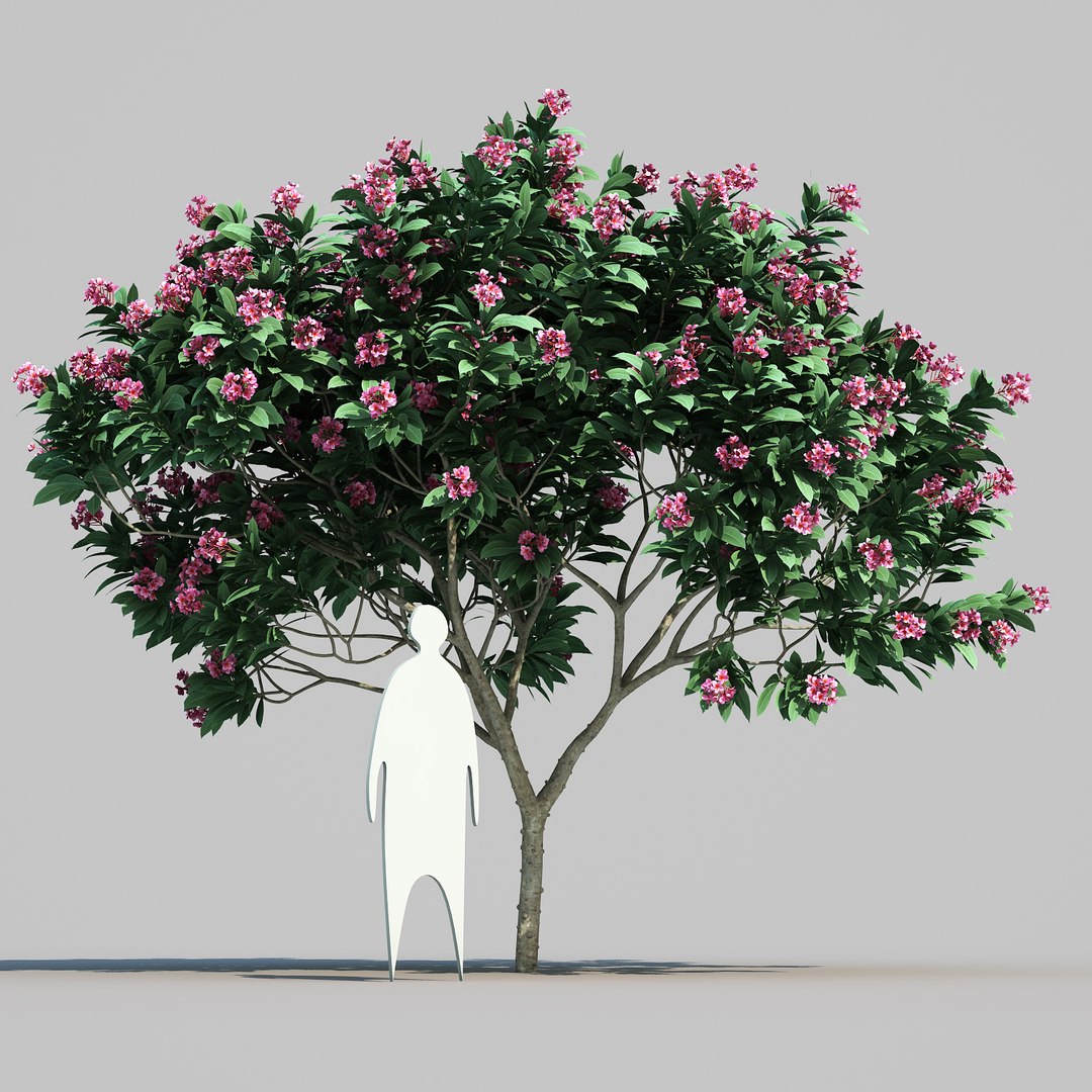3 Flower 10 Tree 3d Model
