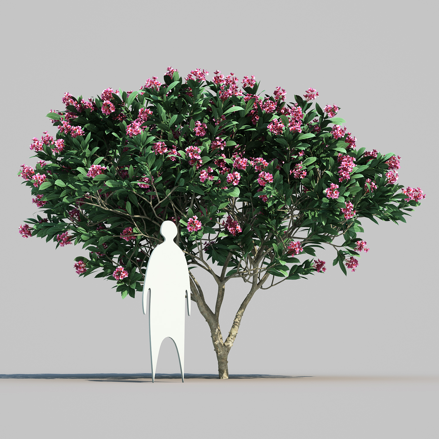 3 flower 10 tree 3d model