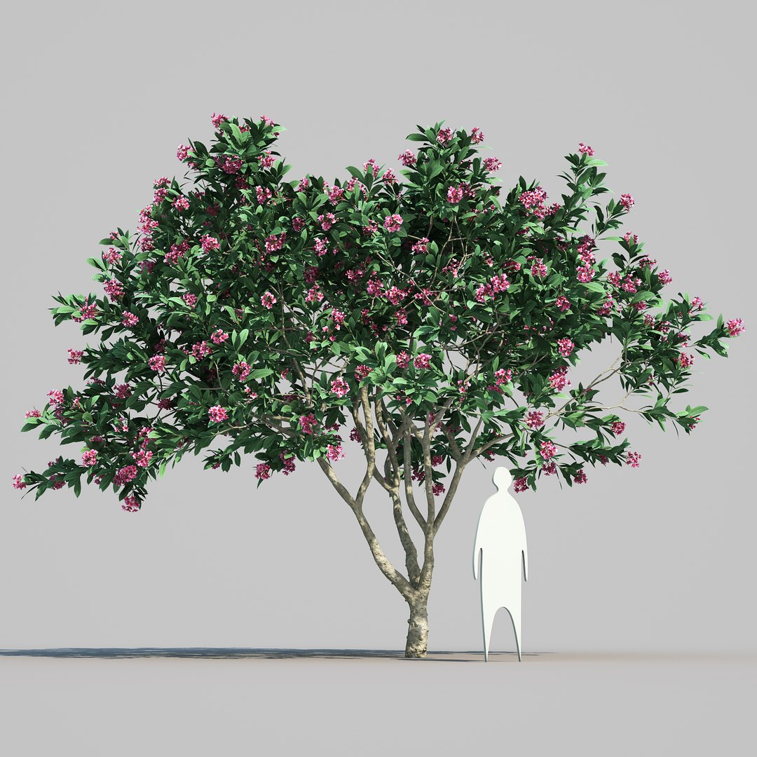 3 Flower 10 Tree 3d Model