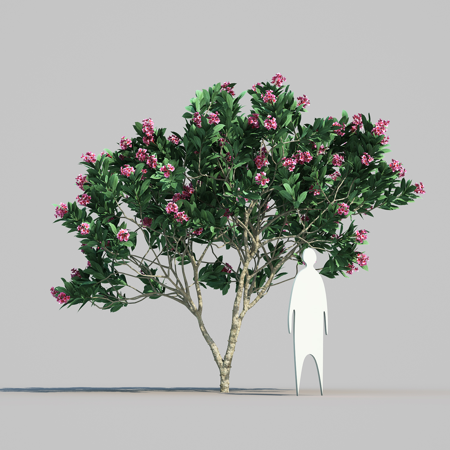 3 flower 10 tree 3d model