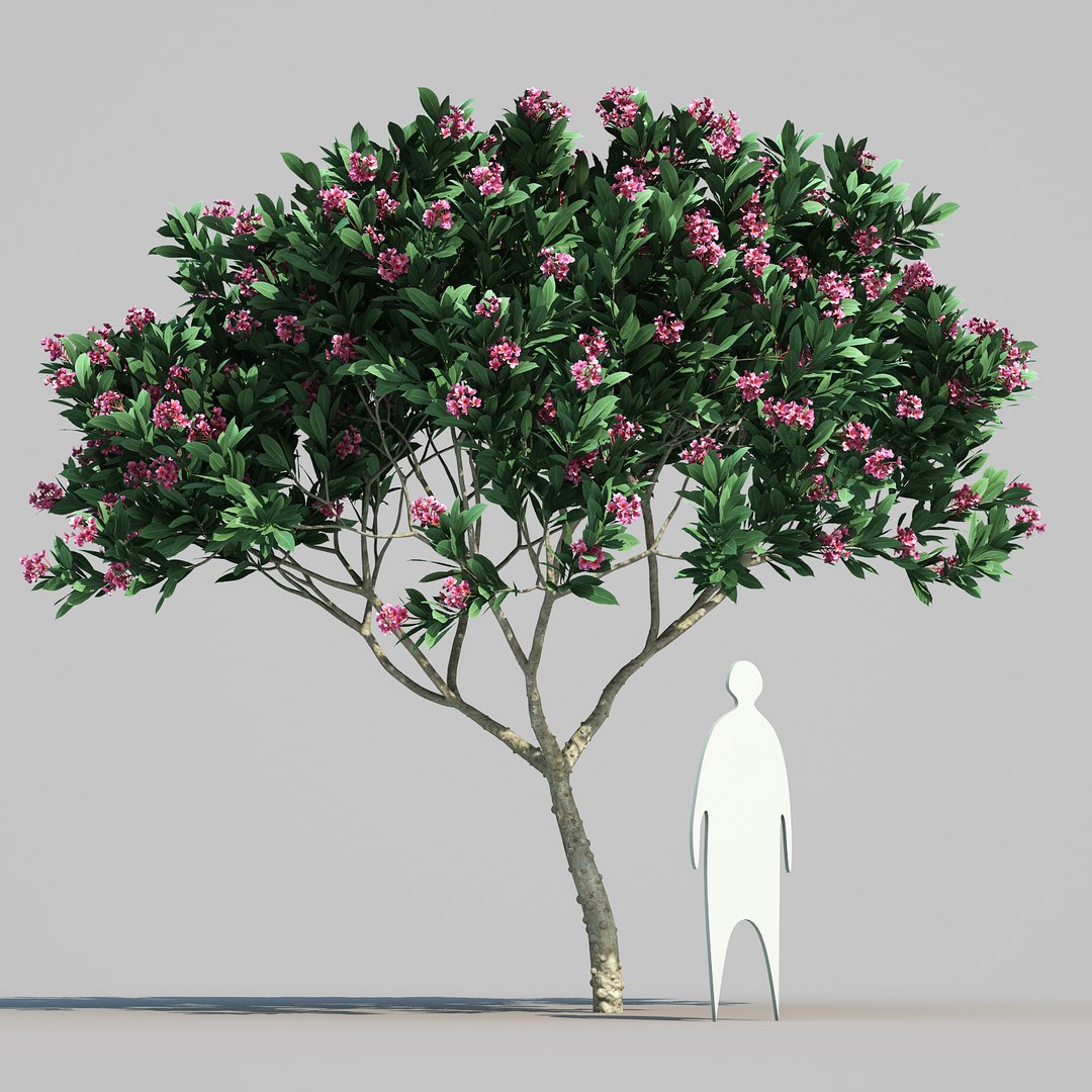 3 Flower 10 Tree 3d Model