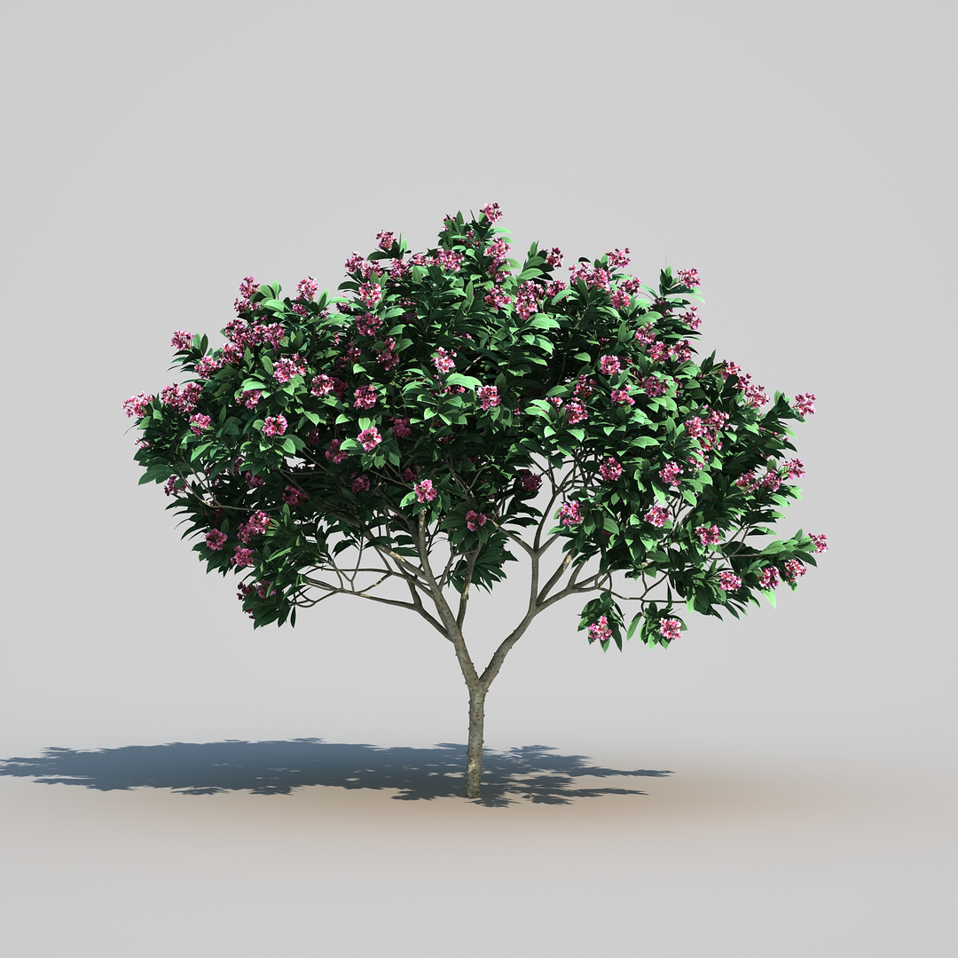 3 Flower 10 Tree 3d Model