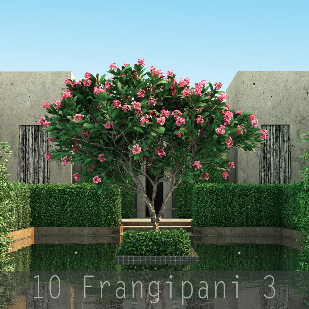 3 Flower 10 Tree 3d Model