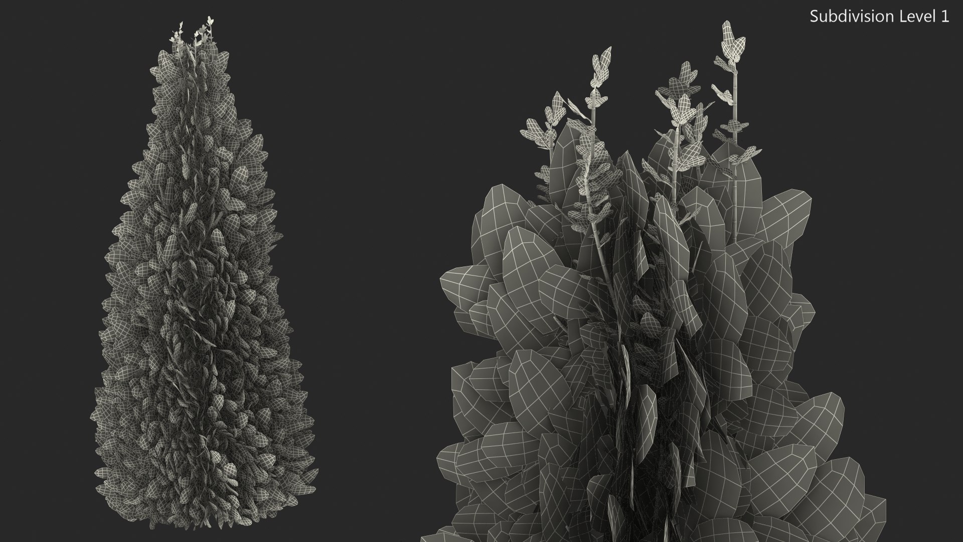 3D Chinese Arborvitae Model - TurboSquid 1789485