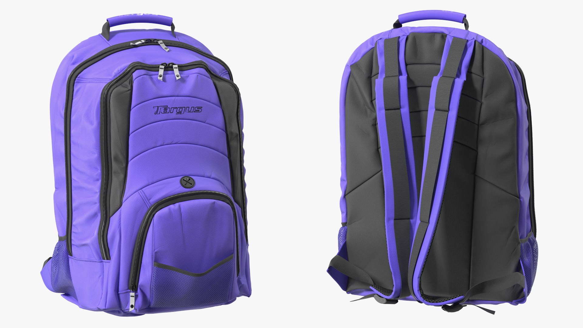 Targus Sport Backpack 3D Model - TurboSquid 2205400