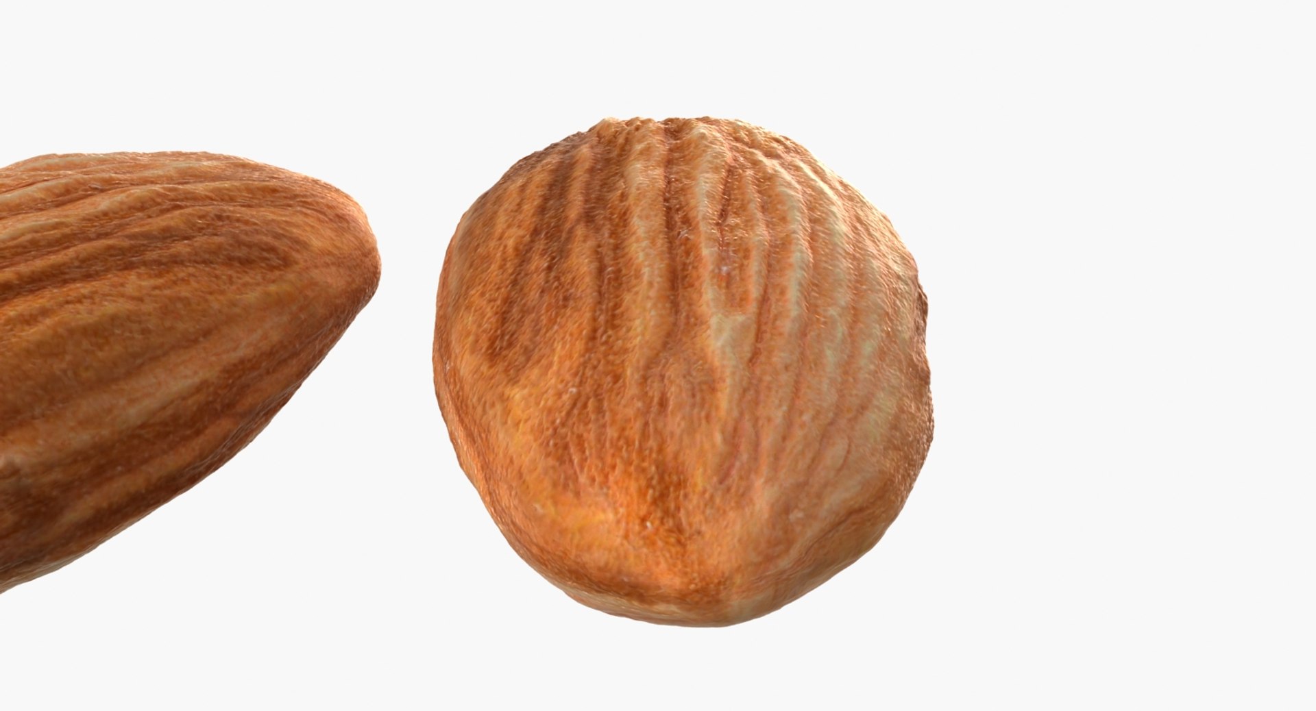 3D Almond - TurboSquid 1218170