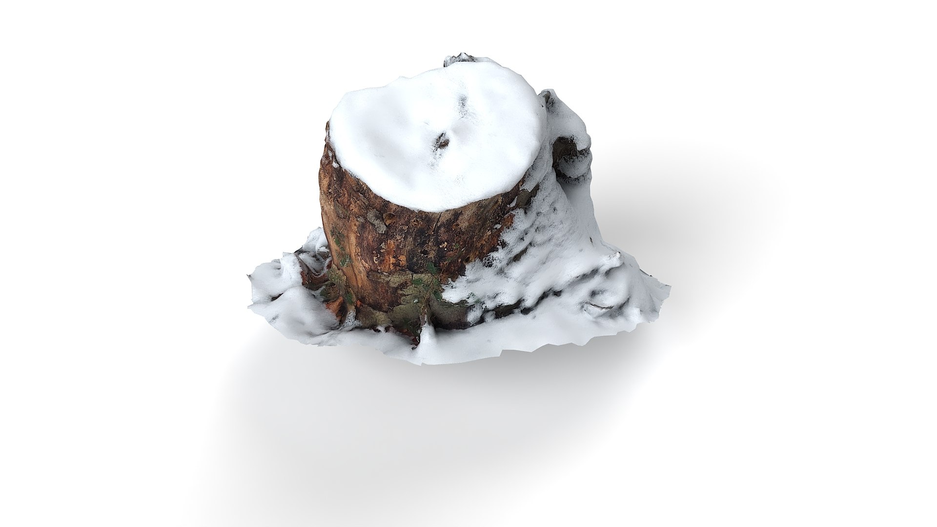 3D Tree Stump 34 With Snow - TurboSquid 2158821
