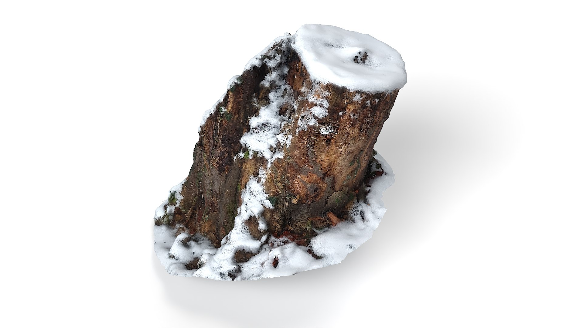 3D Tree Stump 34 With Snow - TurboSquid 2158821