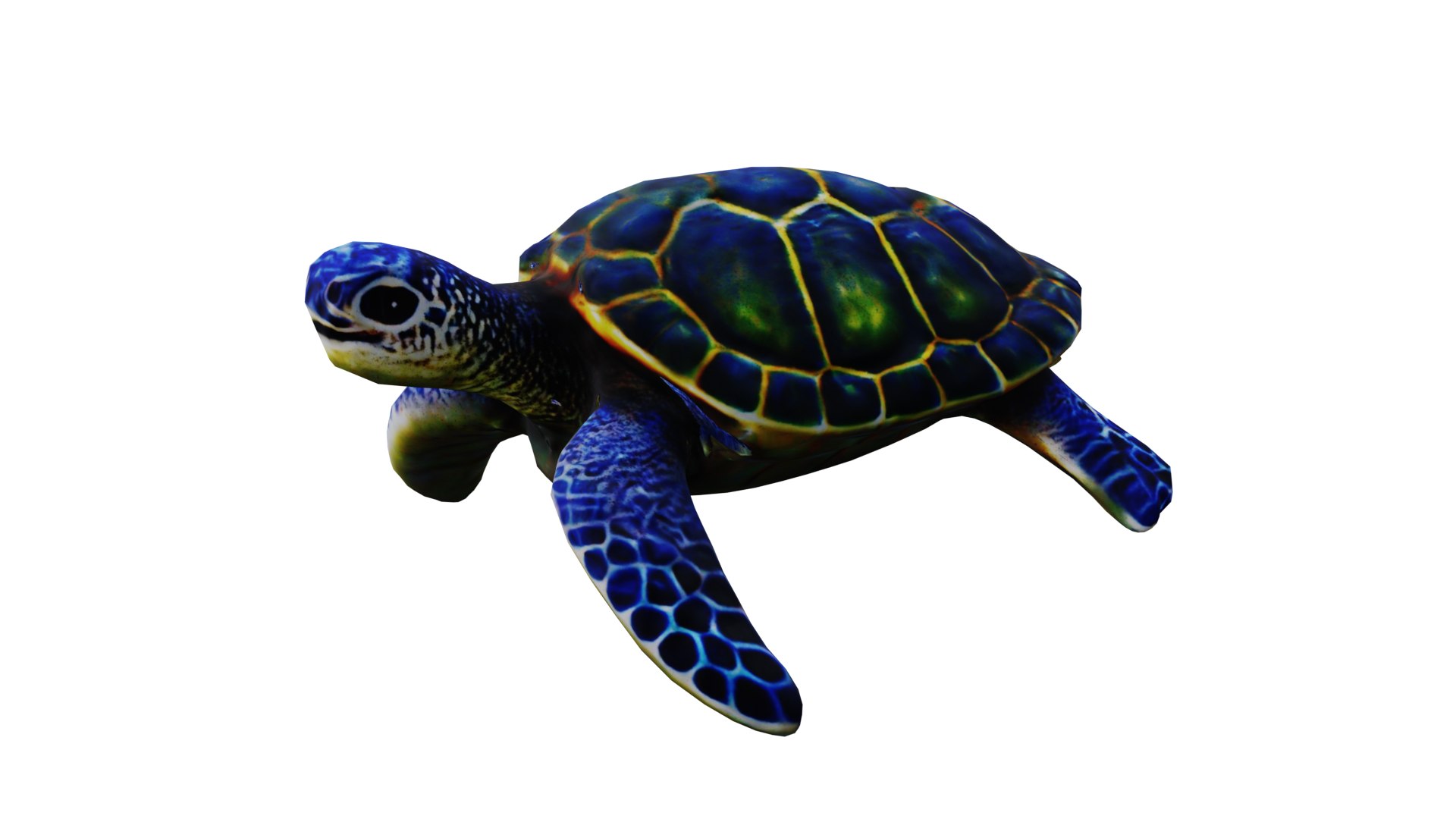 Sea Turtle Low Poly 3D Model - TurboSquid 2208974