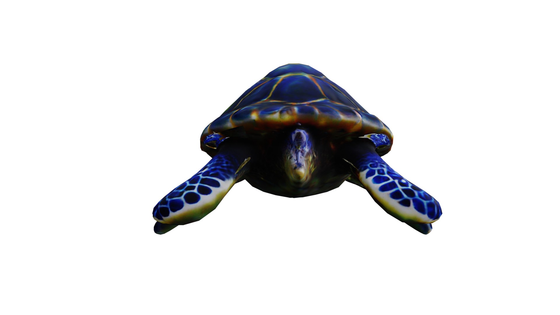 Sea Turtle Low Poly 3D Model - TurboSquid 2208974