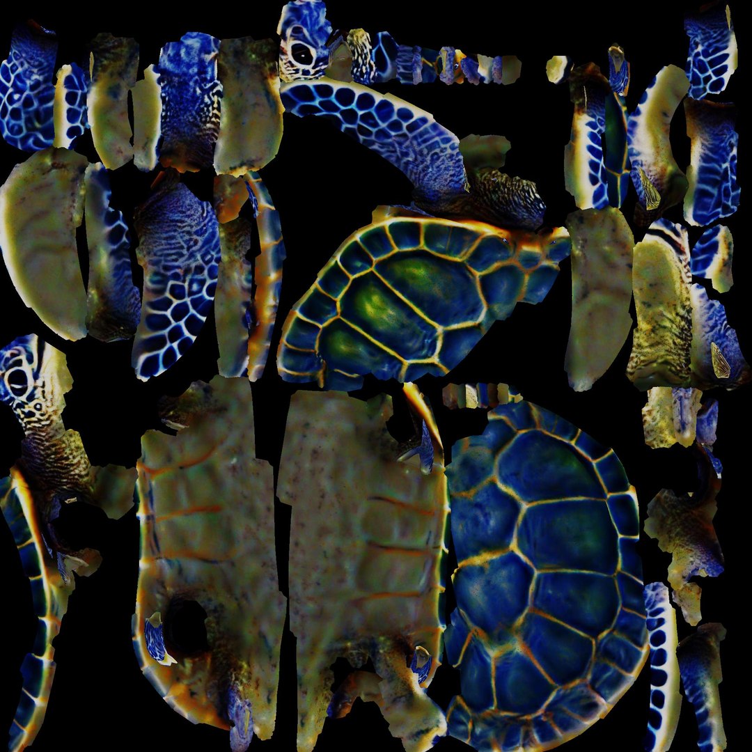 Sea Turtle Low Poly 3D Model - TurboSquid 2208974