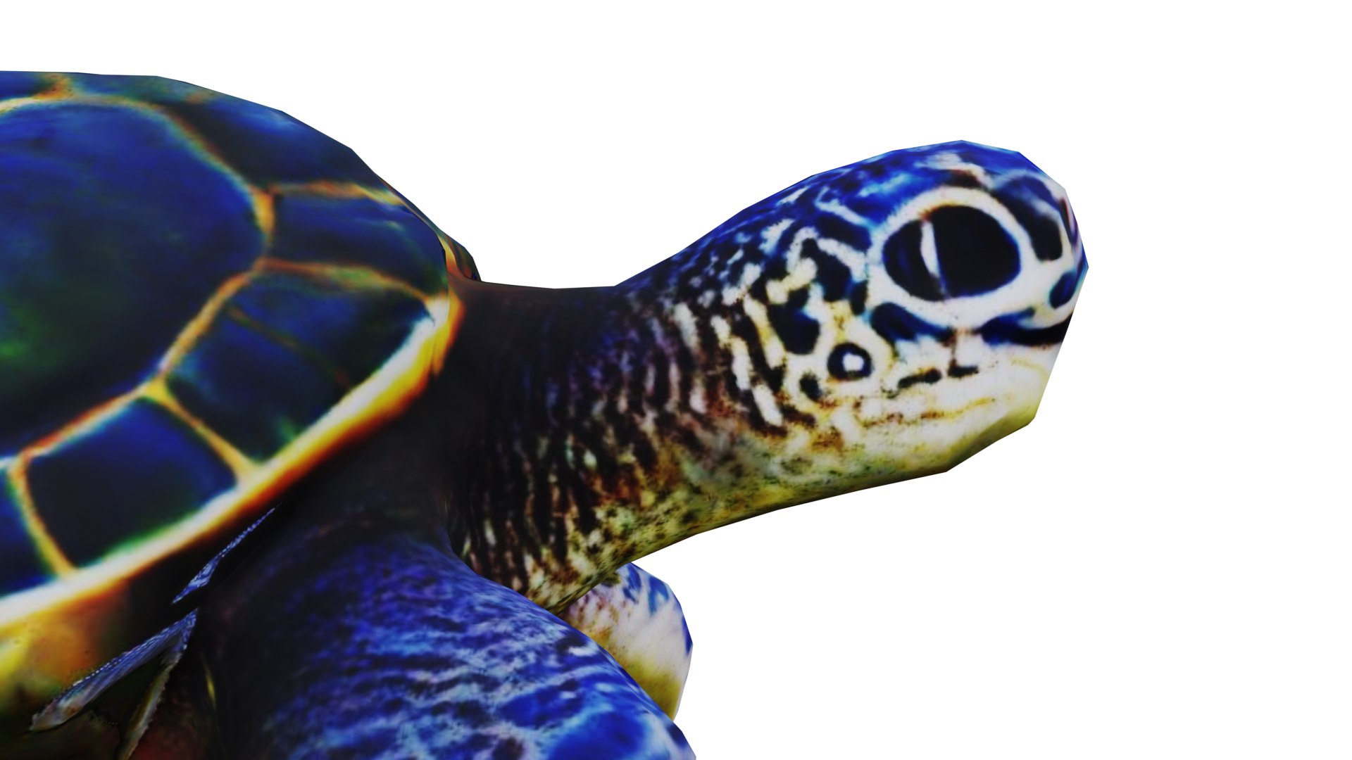 Sea Turtle Low Poly 3D Model - TurboSquid 2208974