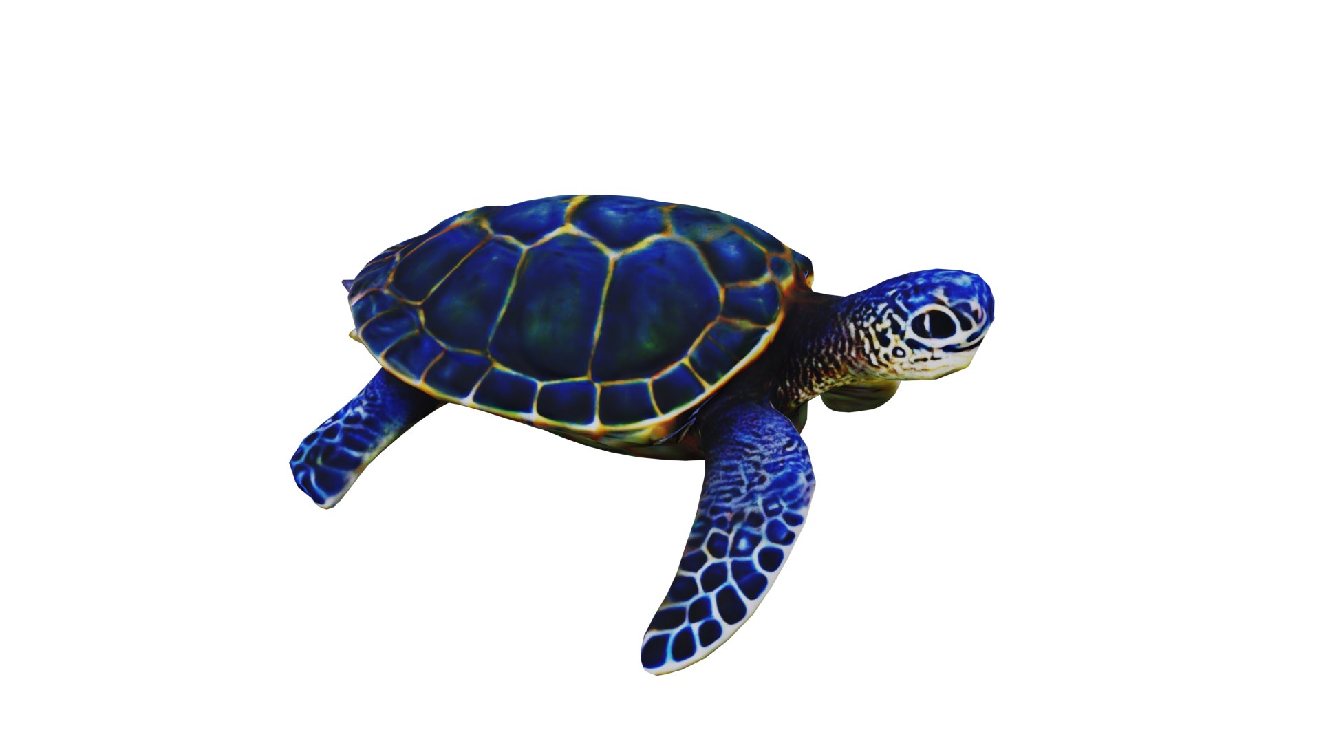 Sea Turtle Low Poly 3D Model - TurboSquid 2208974