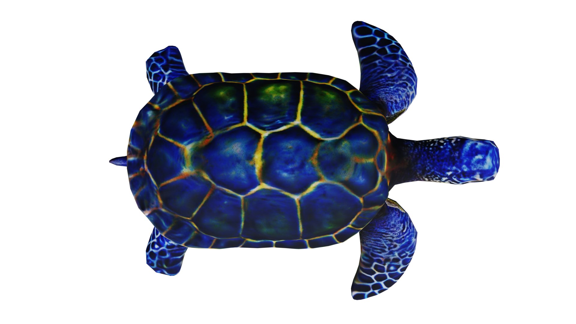 Sea Turtle Low Poly 3D Model - TurboSquid 2208974