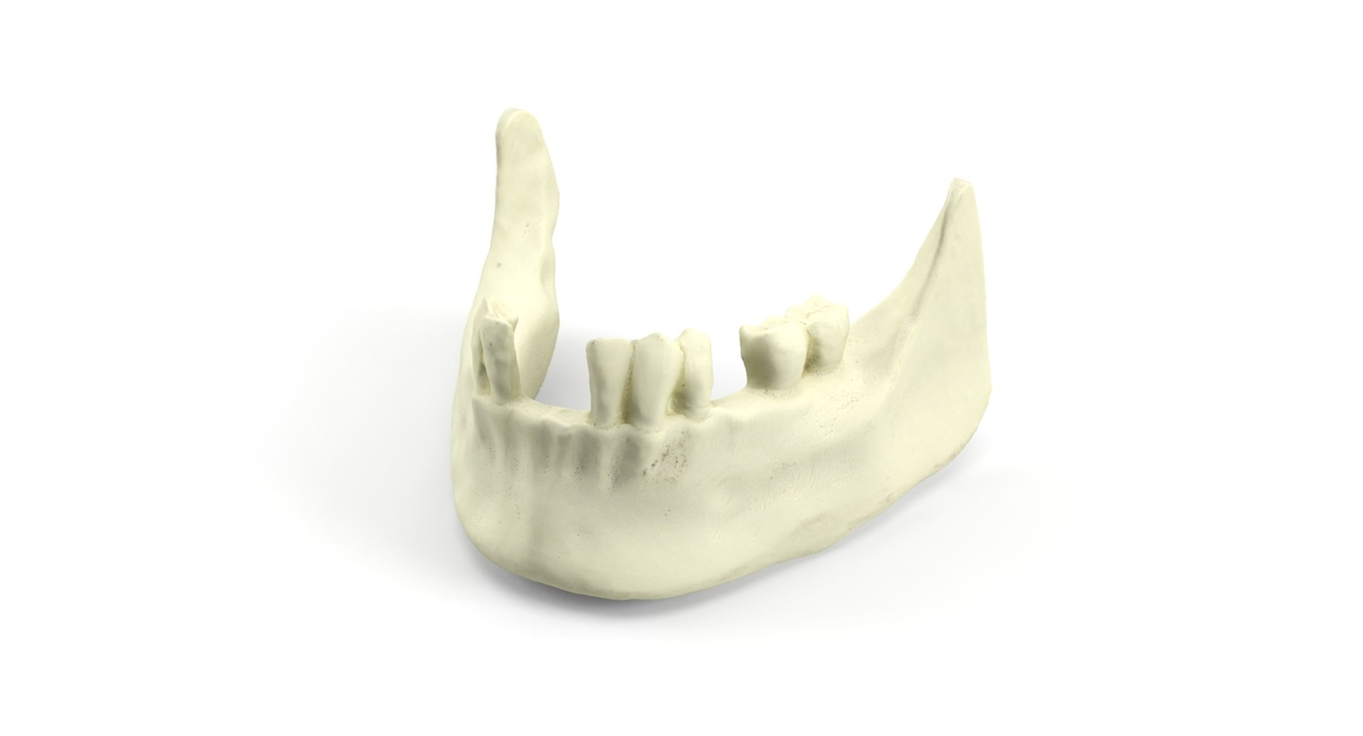 C4d Teeth Mold