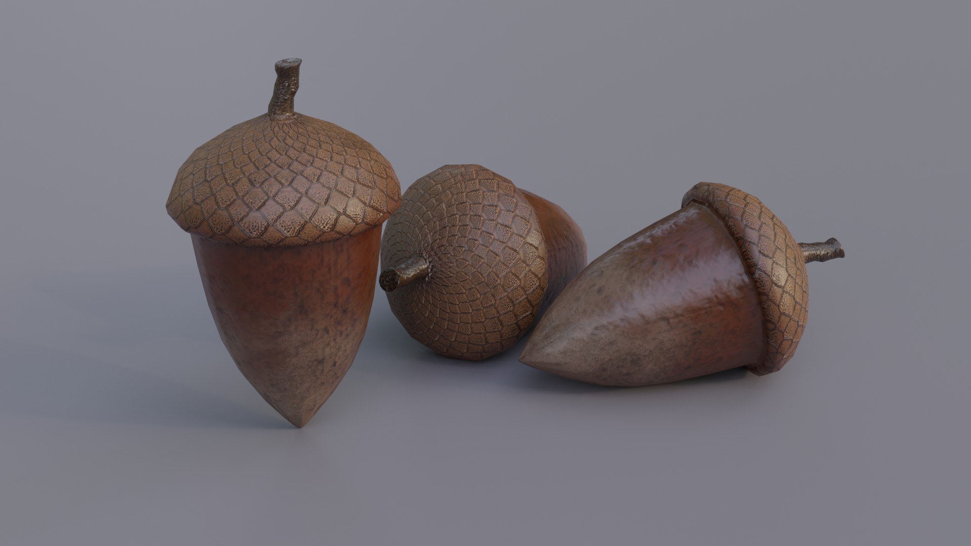 Acorn 3D Model - TurboSquid 1887189