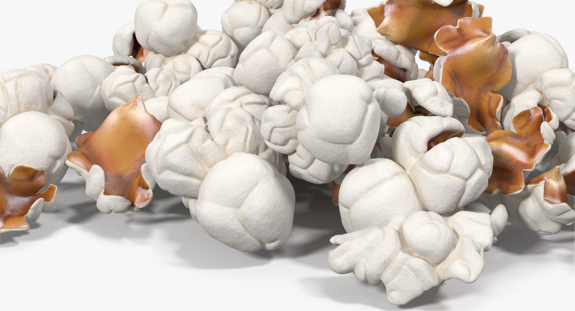 3d model of popcorn 2