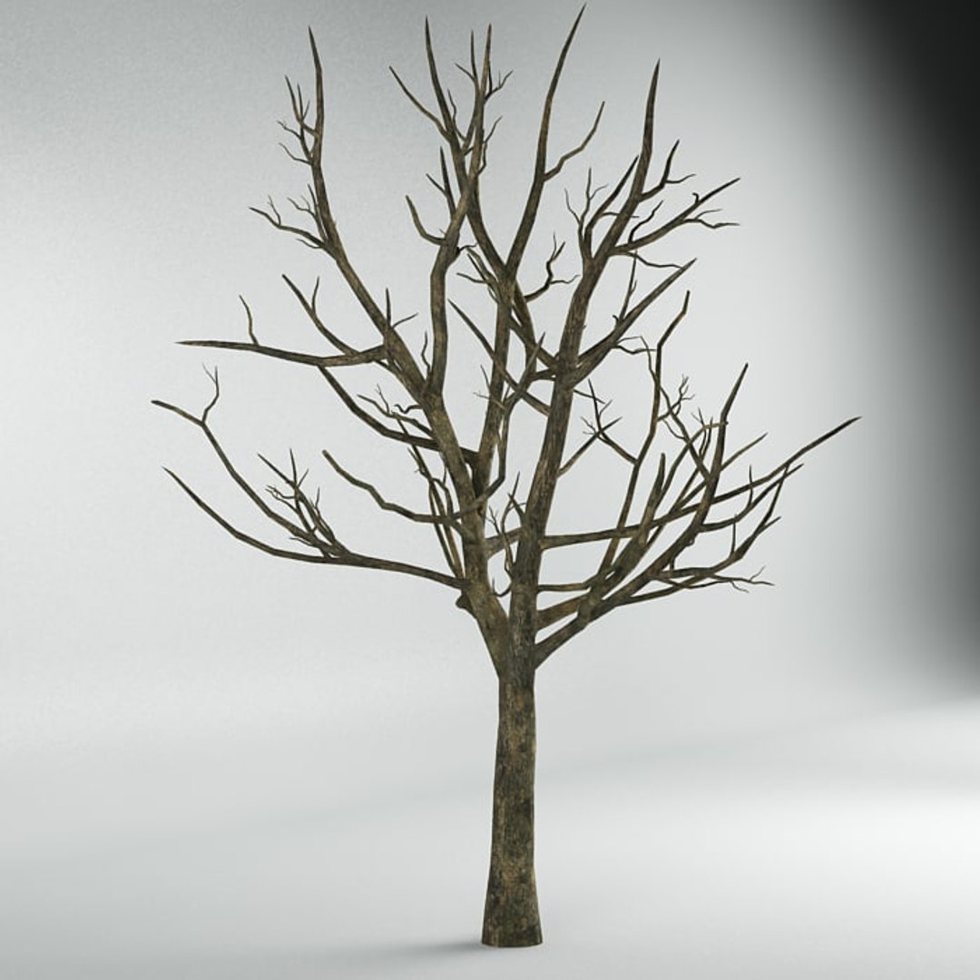 Tree 3d Model