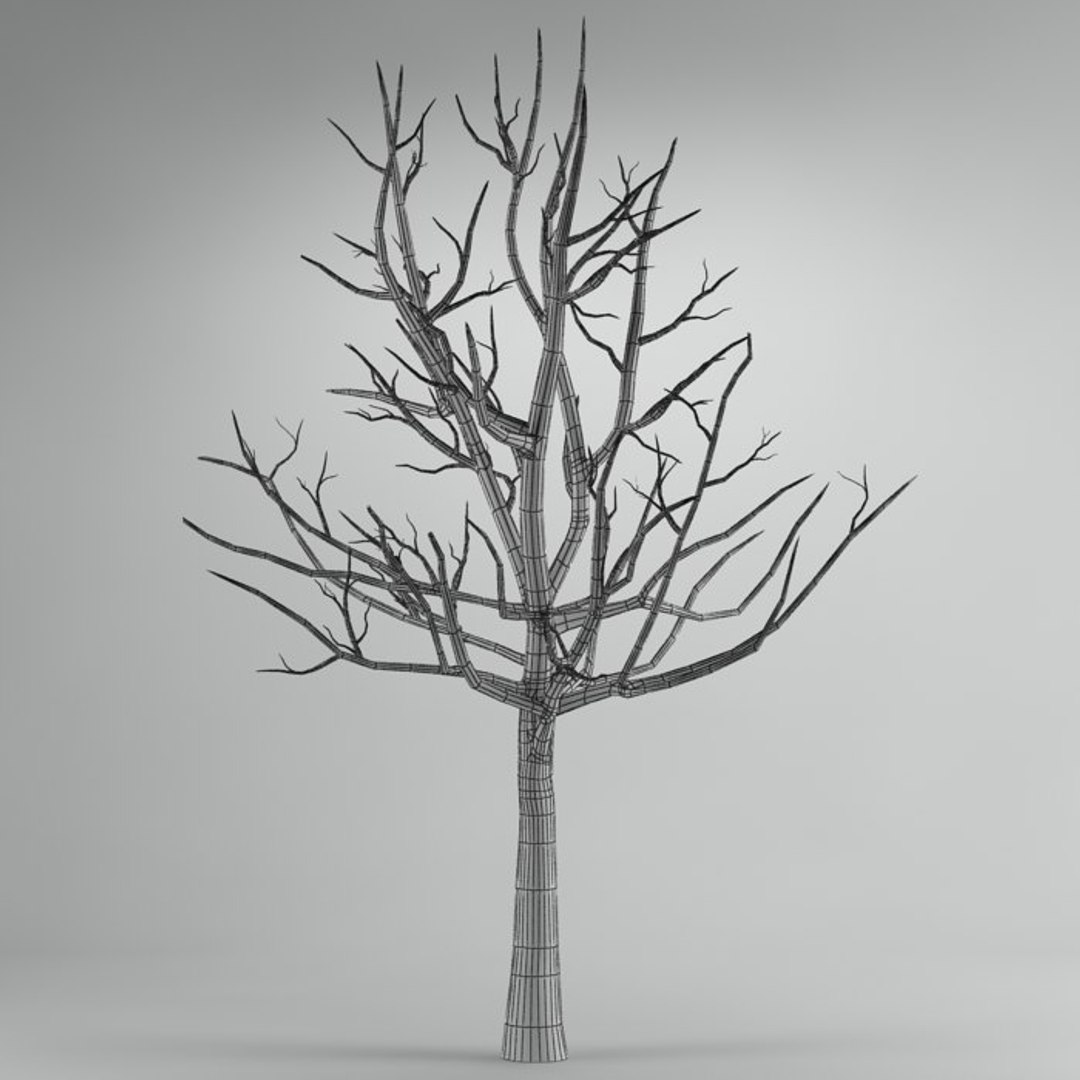 Tree 3d Model