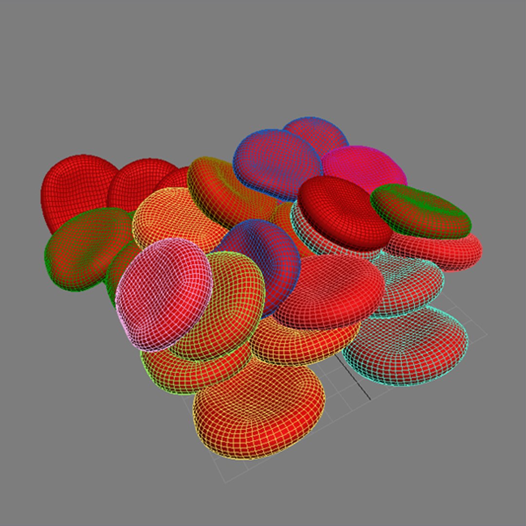 Red Blood Cells 3d Model