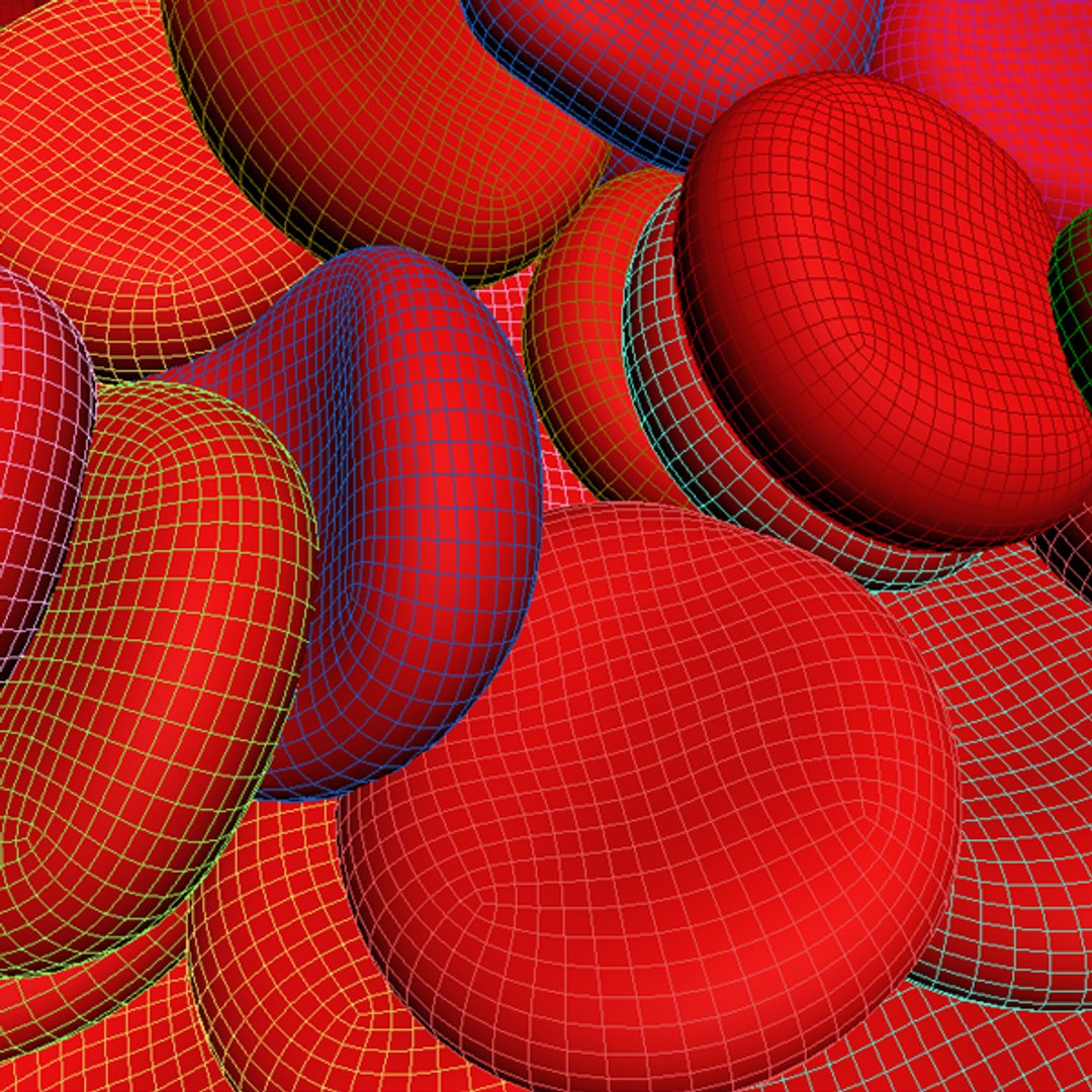 Red Blood Cells 3d Model