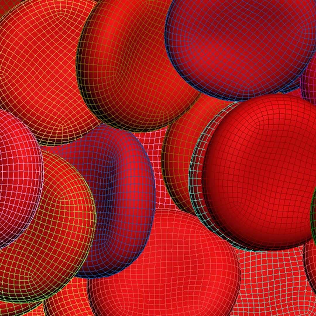 Red Blood Cells 3d Model