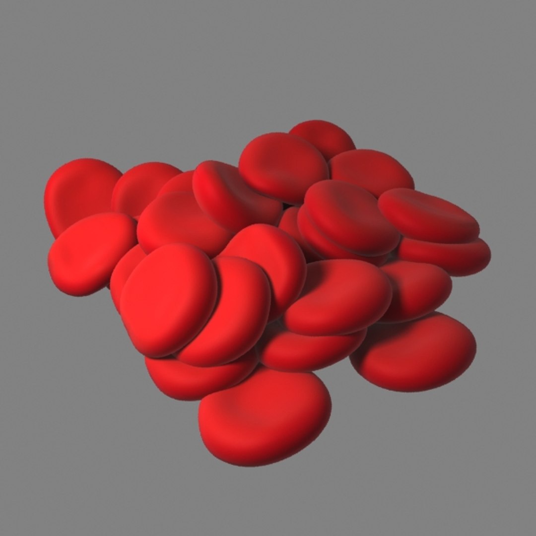 Red Blood Cells 3d Model