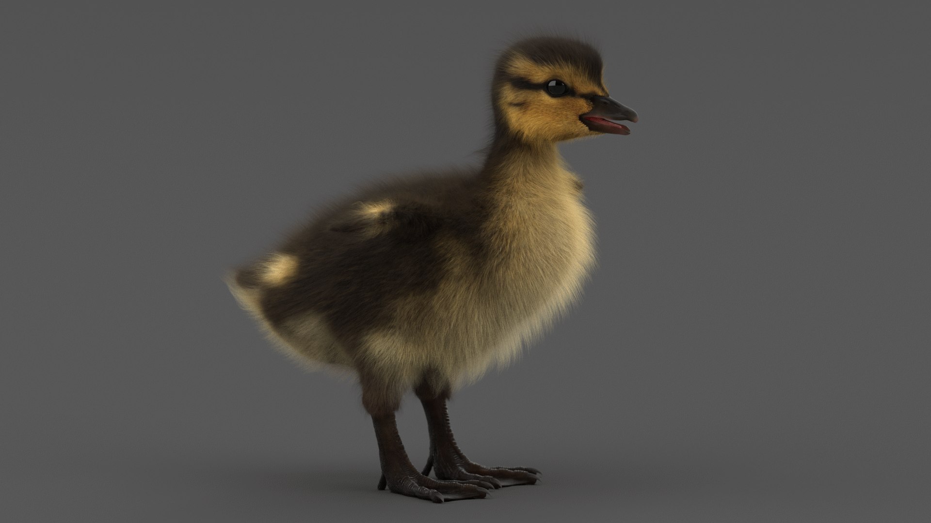 Duckling Duck 3D Model - TurboSquid 1499905