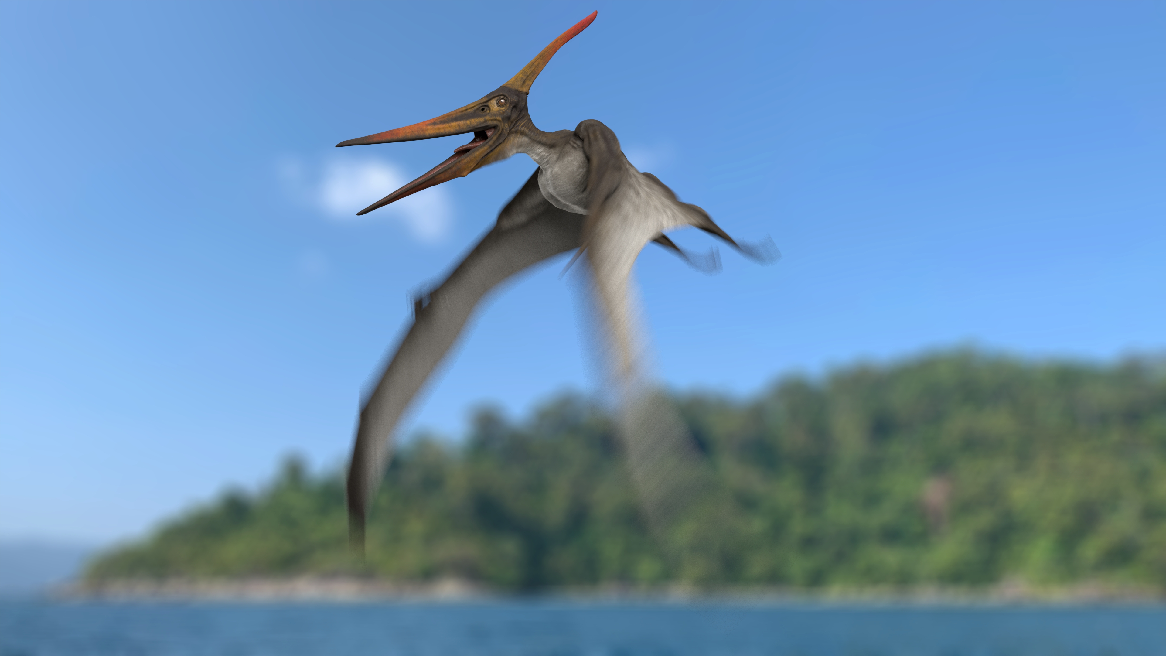 Pteranodon Longiceps 회색 애니메이션 3D 모델 - TurboSquid 1522384