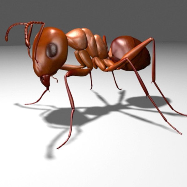 3D 3ds Max ant insect hormiga