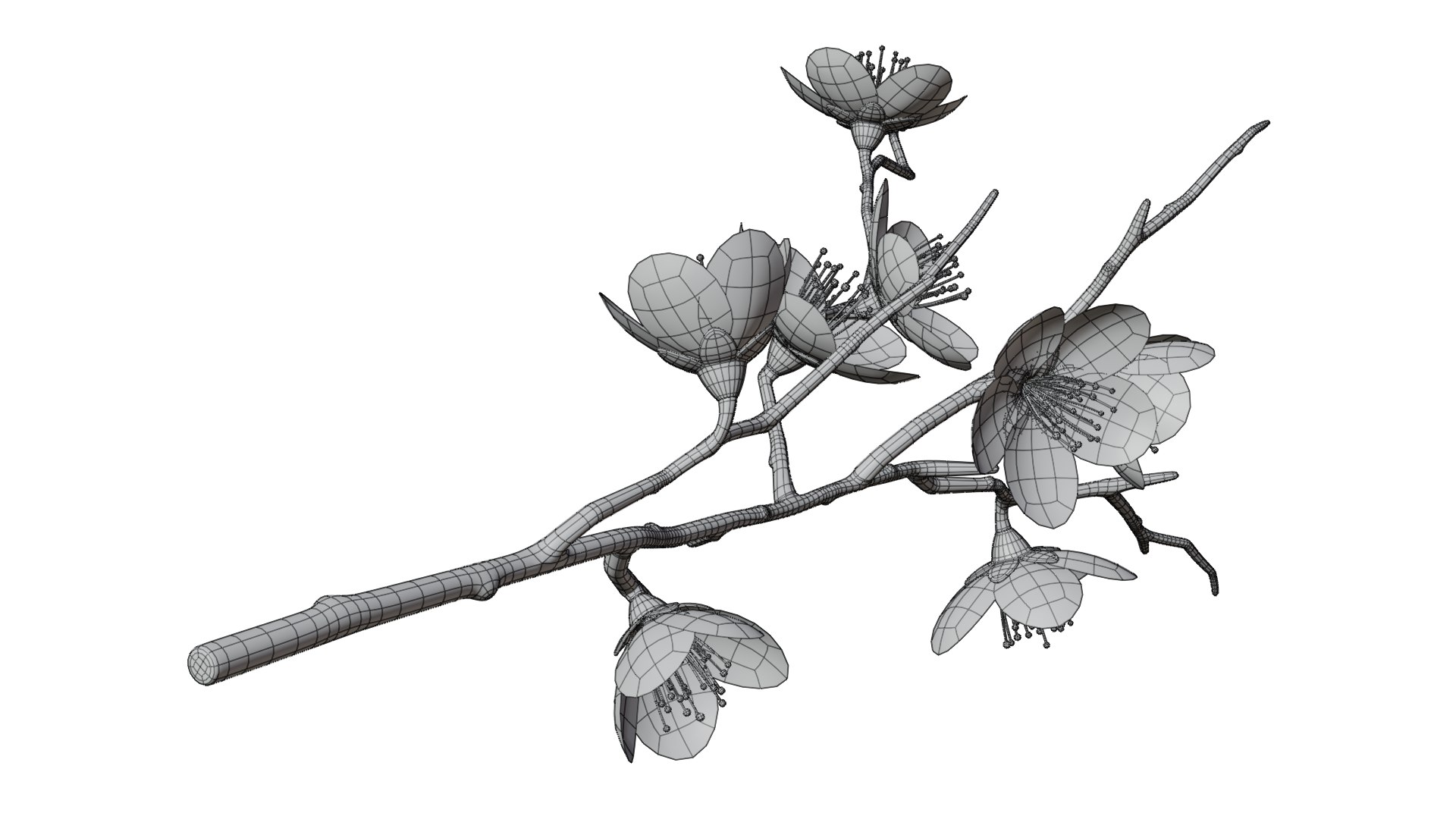 Sakura Branches 08 3D Model - TurboSquid 2295623