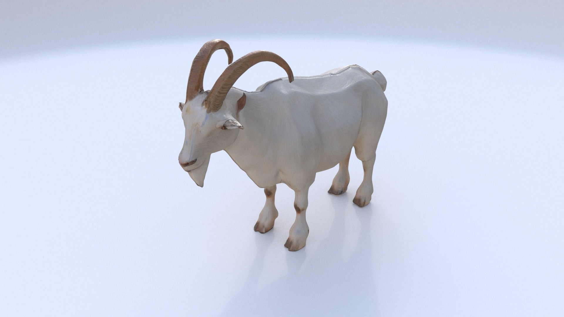 Goat 1 3D Model - TurboSquid 2334996
