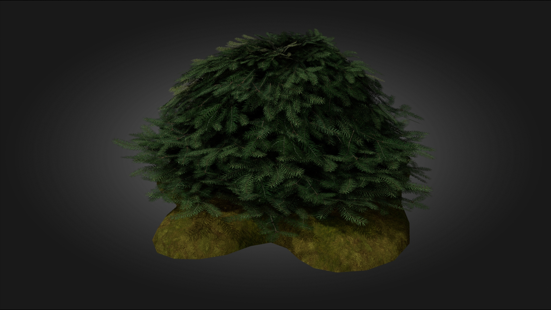 3d Scan Based Nested Spruce Pbr Turbosquid 1953914