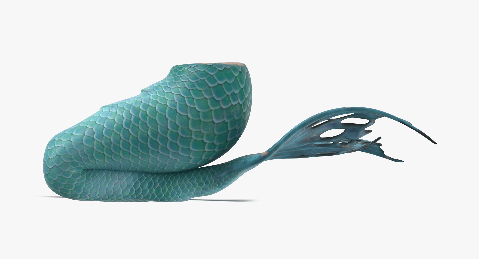 Mermaid Tails 03 3D Model - TurboSquid 1300180
