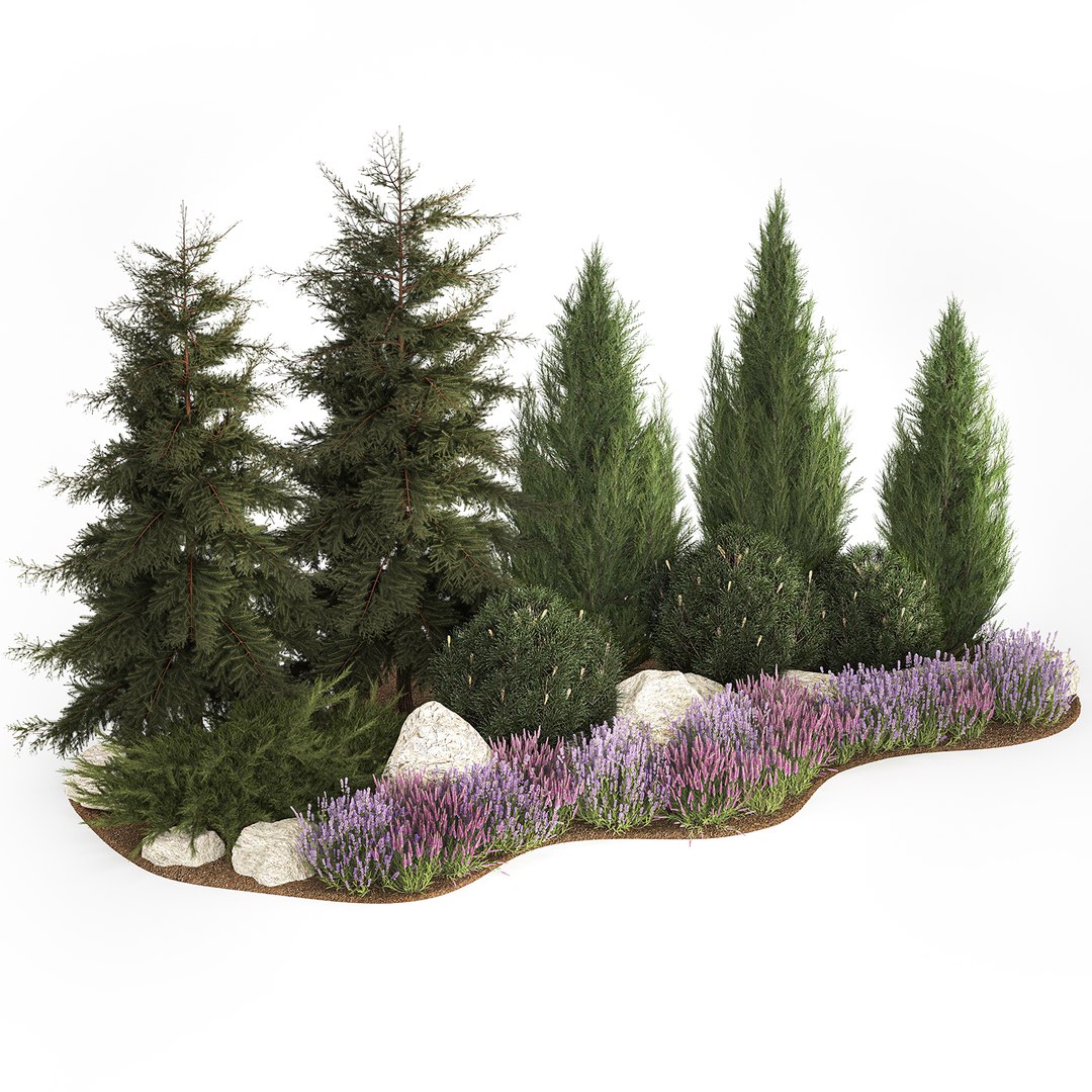 3D Model Alpine Hill Fir Tree Thuja Juniper And Lavender Bushes 1206 - TurboSquid 2032749