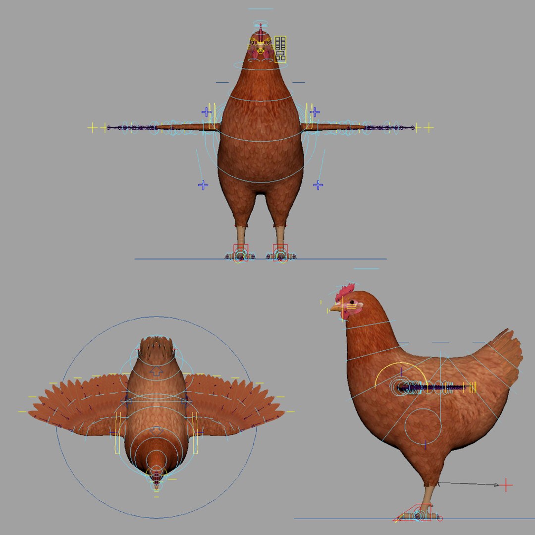 Hen Rigged 3D Model - TurboSquid 1626399