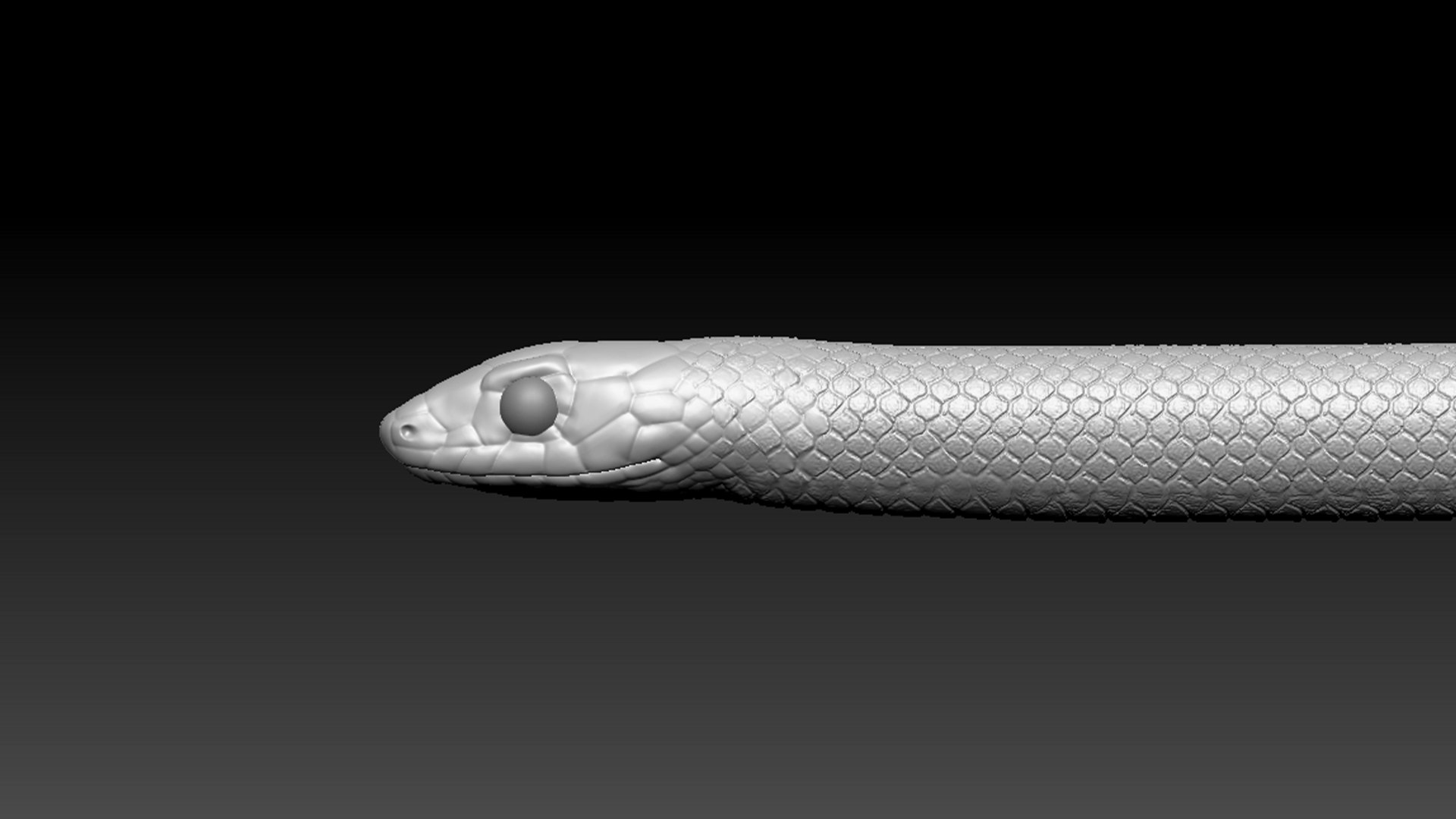 3D King Snake Zbrush Model - TurboSquid 2369298