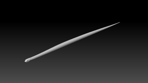modelo 3d Modelo de serpiente real en Zbrush - TurboSquid 2369298