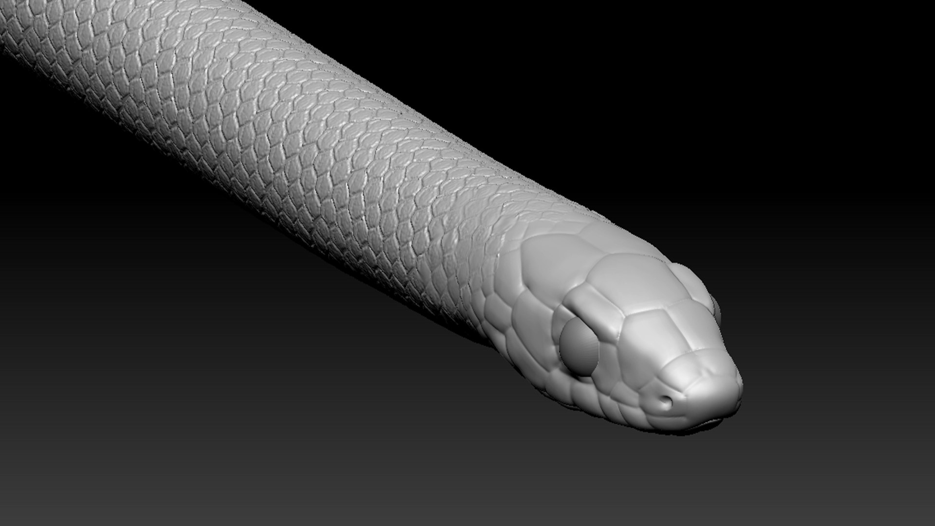 3D King Snake Zbrush Model - TurboSquid 2369298