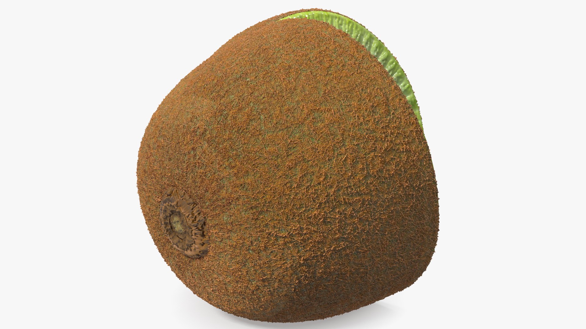 Kiwi Halves 3D model - TurboSquid 2166880