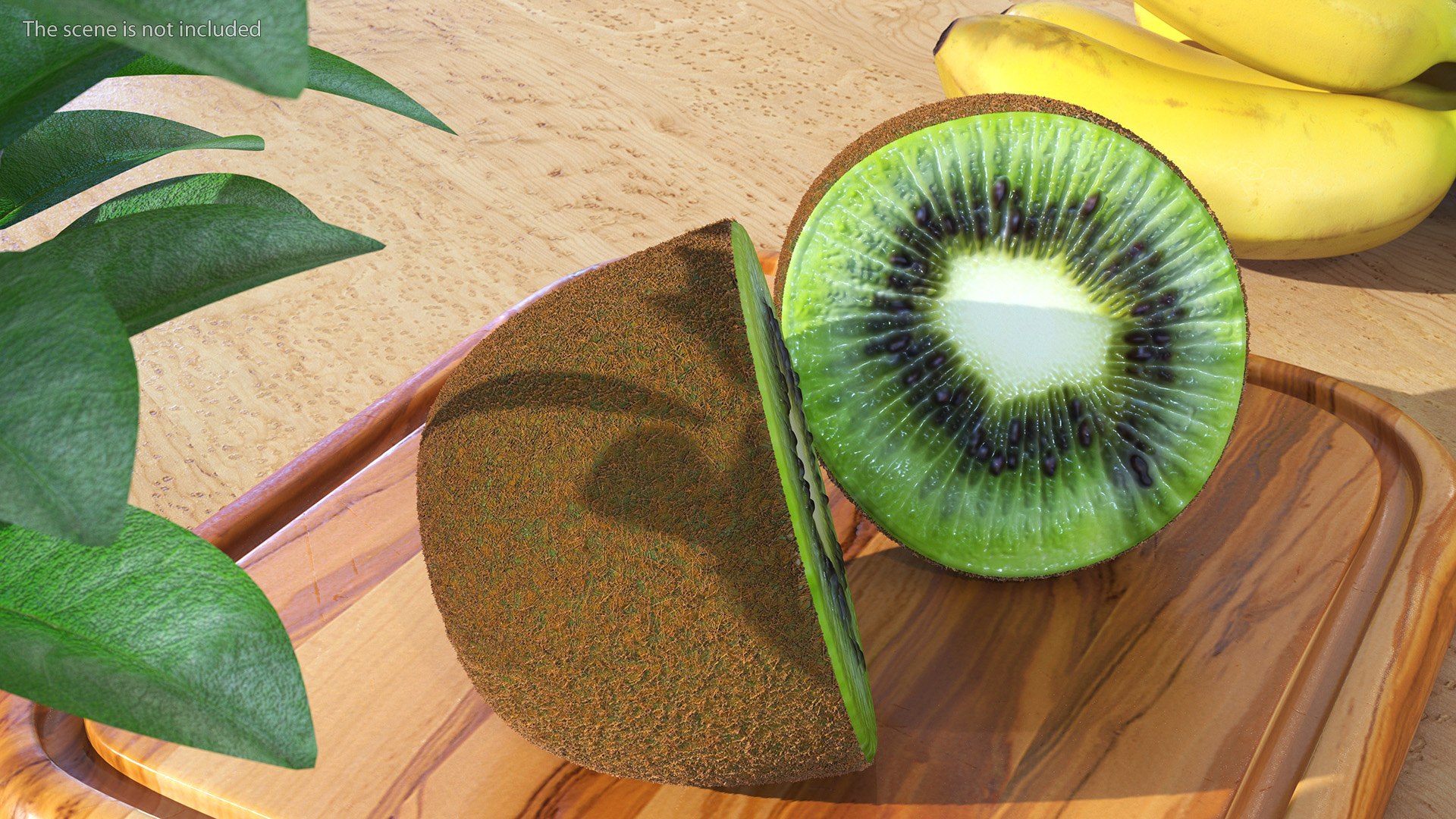 Kiwi Halves 3D model - TurboSquid 2166880